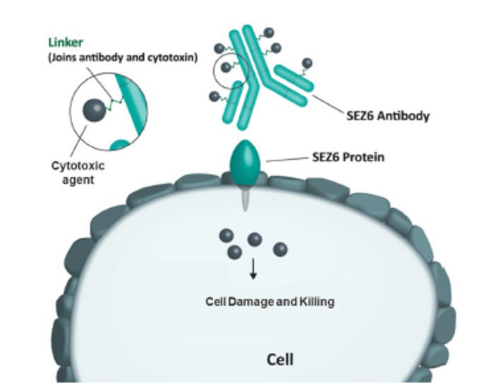 SOLID TUMORS